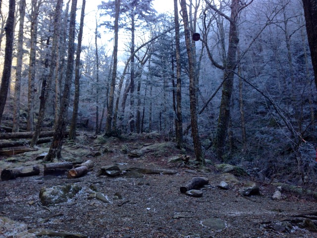 900 miles: Maddron Bald and Albright Grove Loop Trails