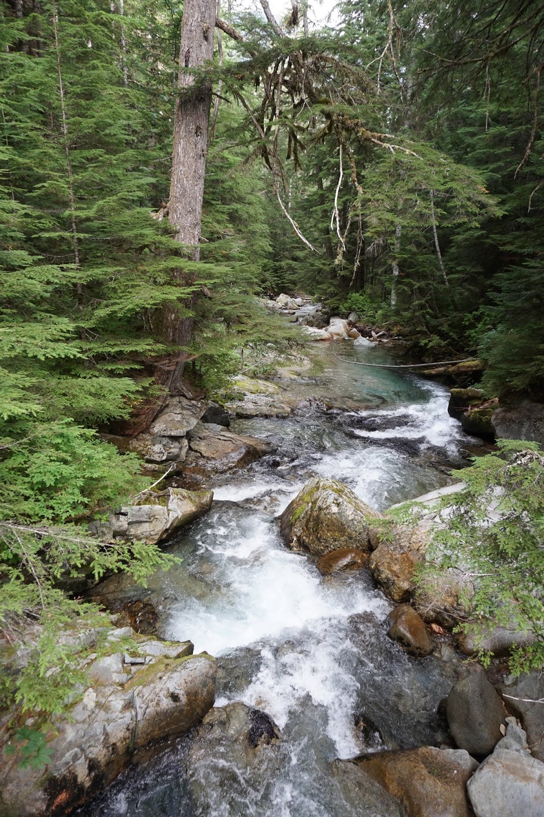 Doris the Explorist: Backpacking: Copper Ridge Loop in North Cascades ...