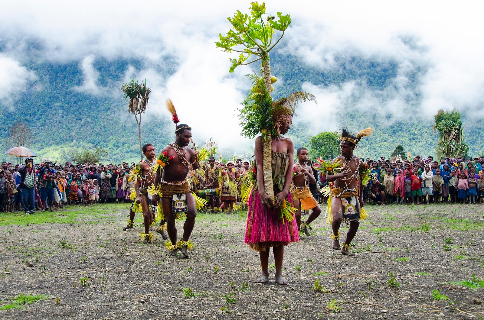 Tree Kangaroo Conservation Program: 20 Years of Awesome