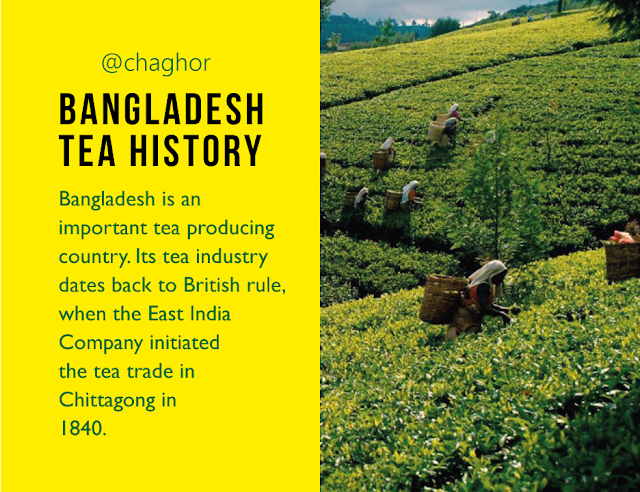 Tea Capital of Bangladesh