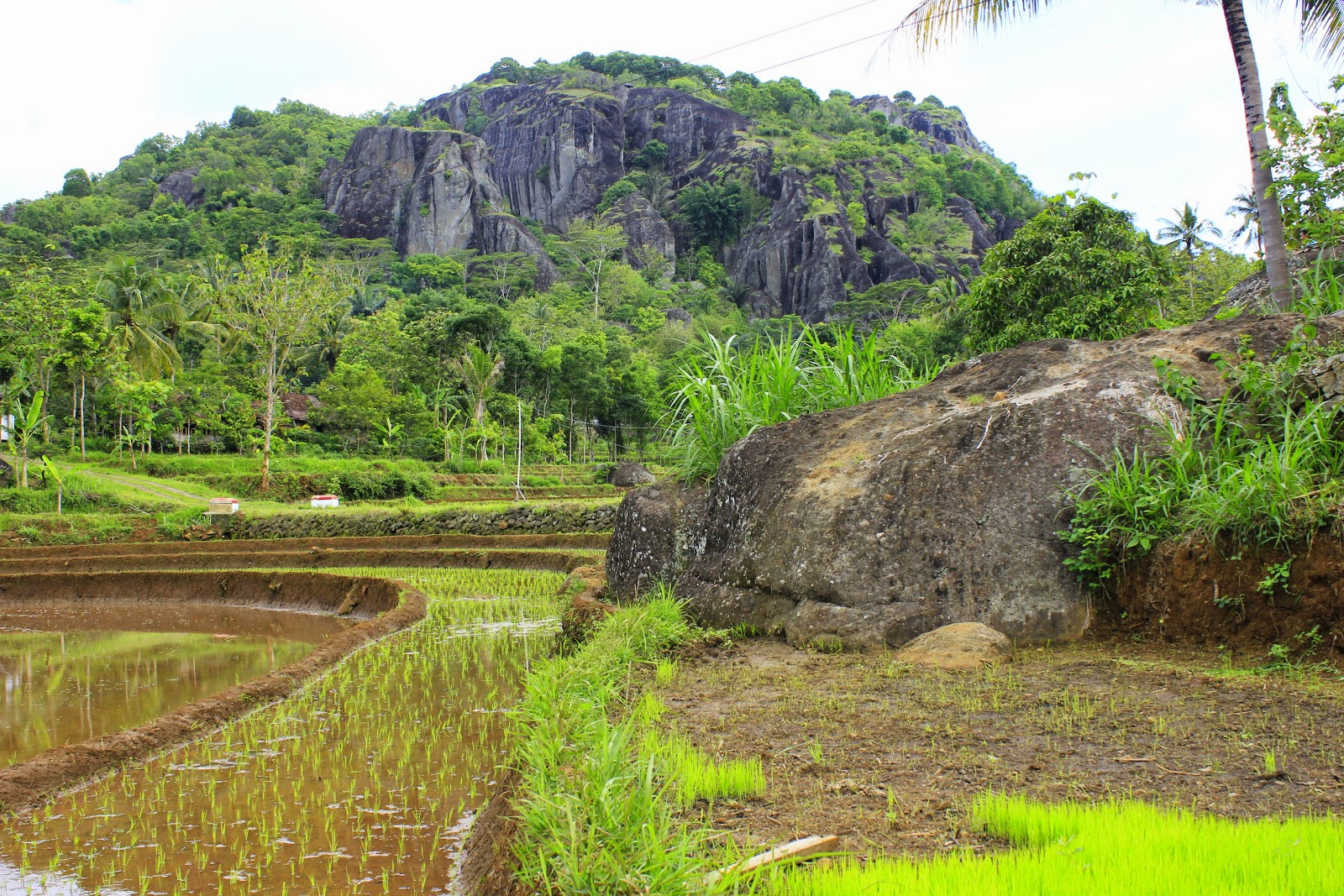 Indonesia Travel: Menggapai Puncak di Gunung Api Purba Nglanggeran