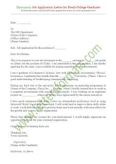 Sample of Job Application Letter for Fresh College Graduates