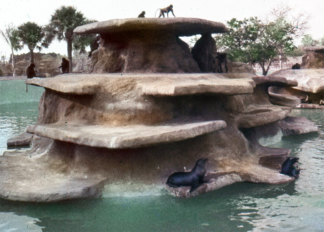 Brownsville Station: 1970s Gladys Porter Zoo slide photo enhancement