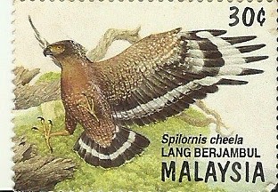 DUNIA SETEM : Stamp Bird of Prey/Burung pemangsa 2005
