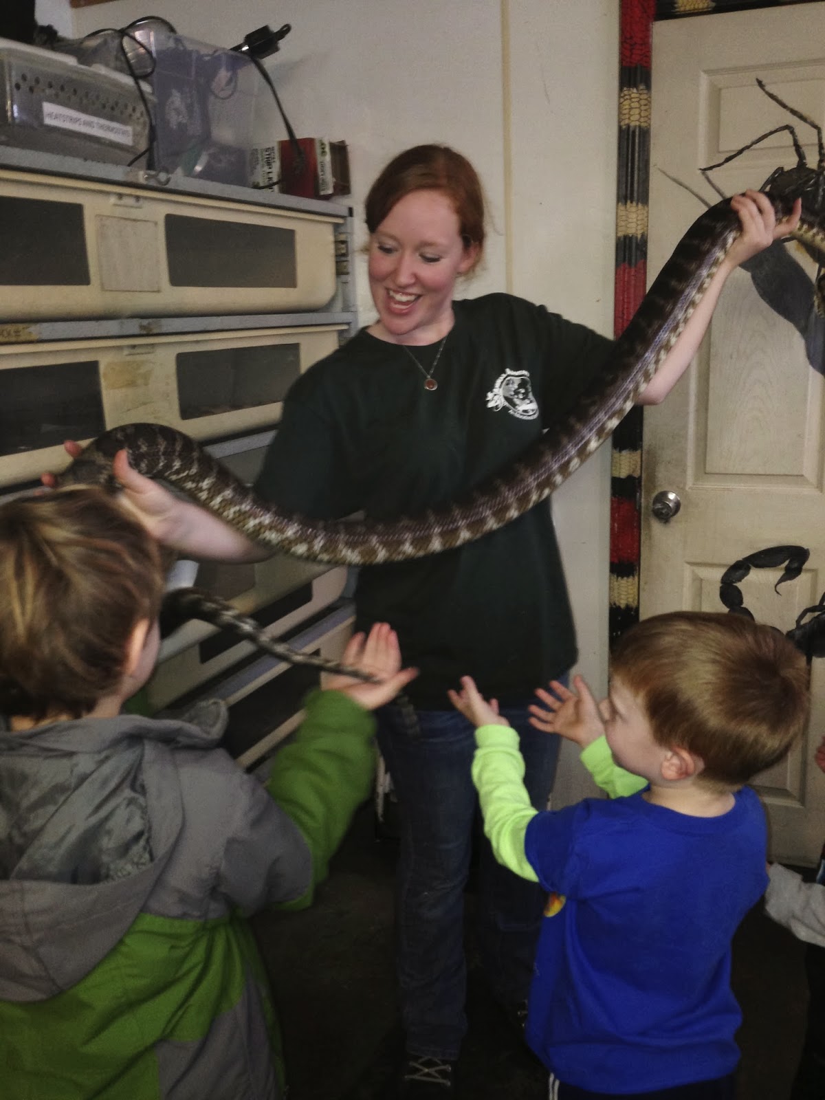 The Nature Playground: A Unique Encounter at Animal Adventures