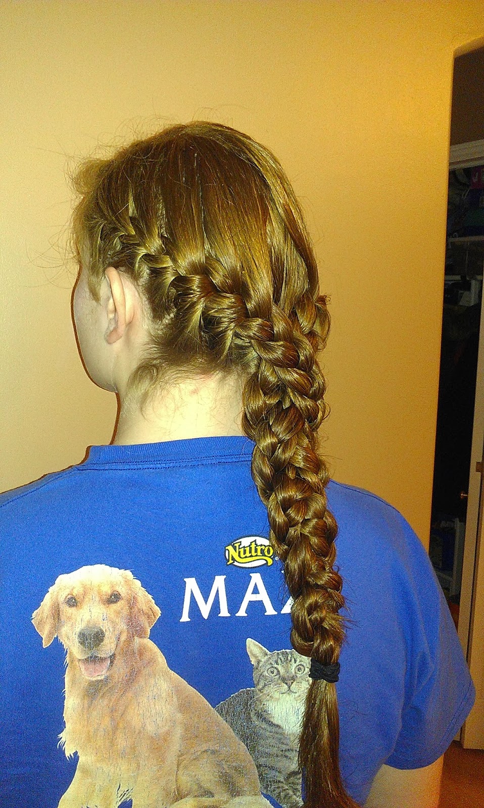 Interest of the Pin: The Rapunzel Braid Tutorial