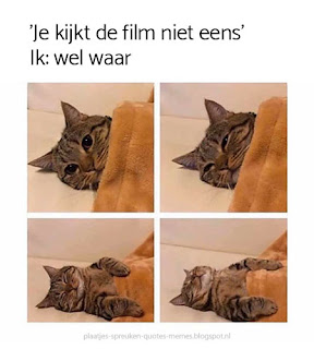 Plaatjes met grappige quotes en afbeeldingen met mooie spreuken om te ...