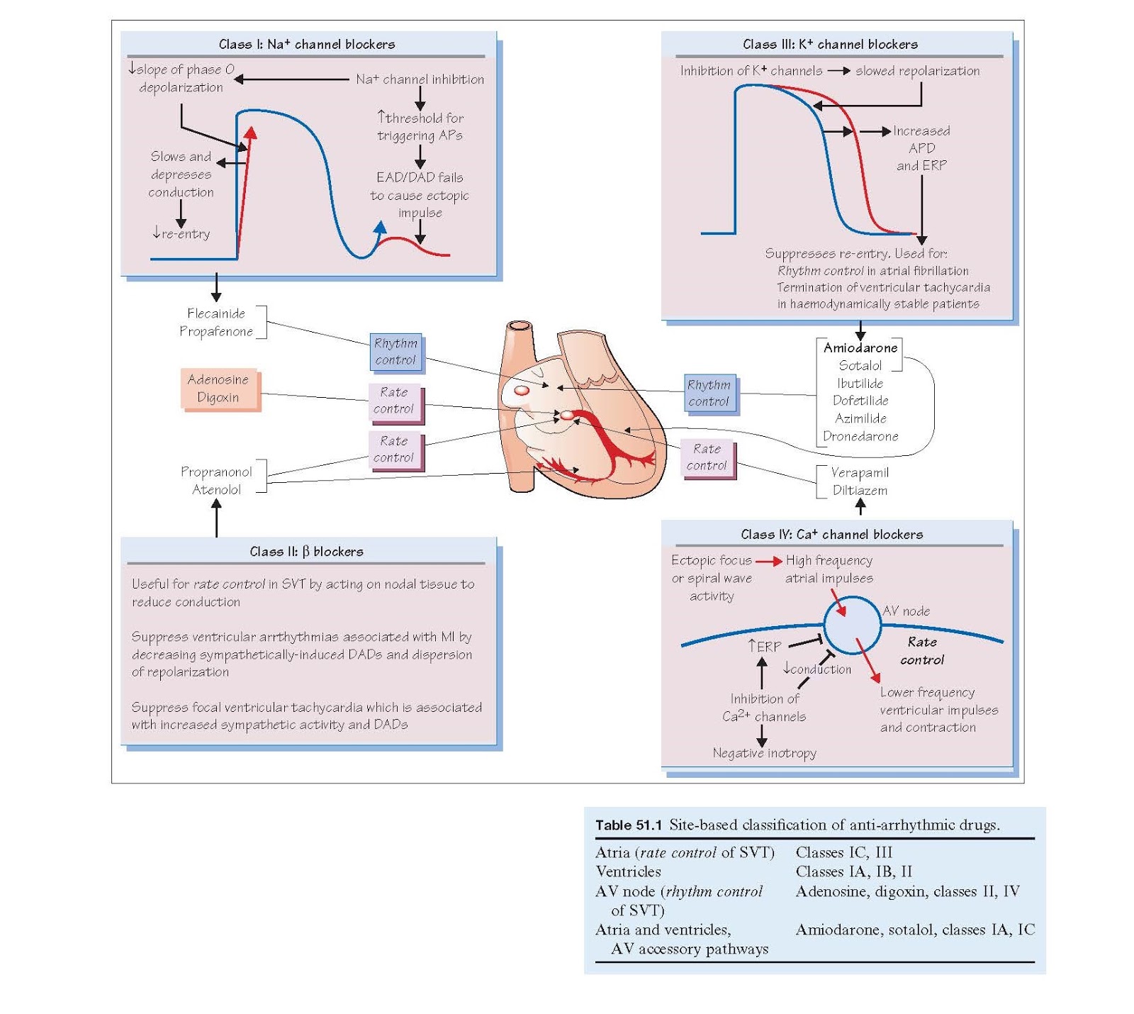 Pharmacological Treatment Of Arrhythmias - pediagenosis