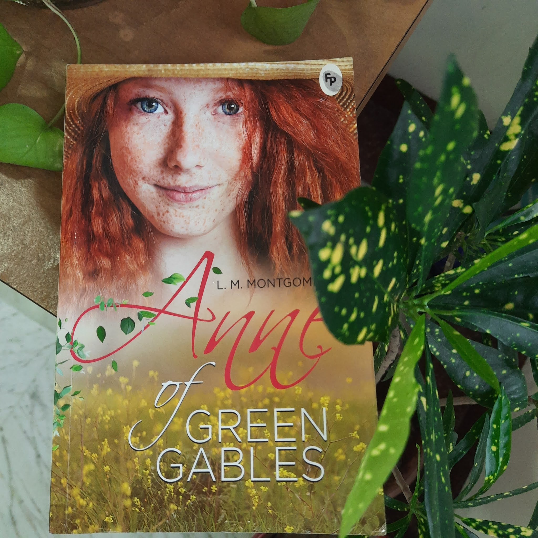 Book Review! Anne Of Greene Gables |Hello Mommyhood