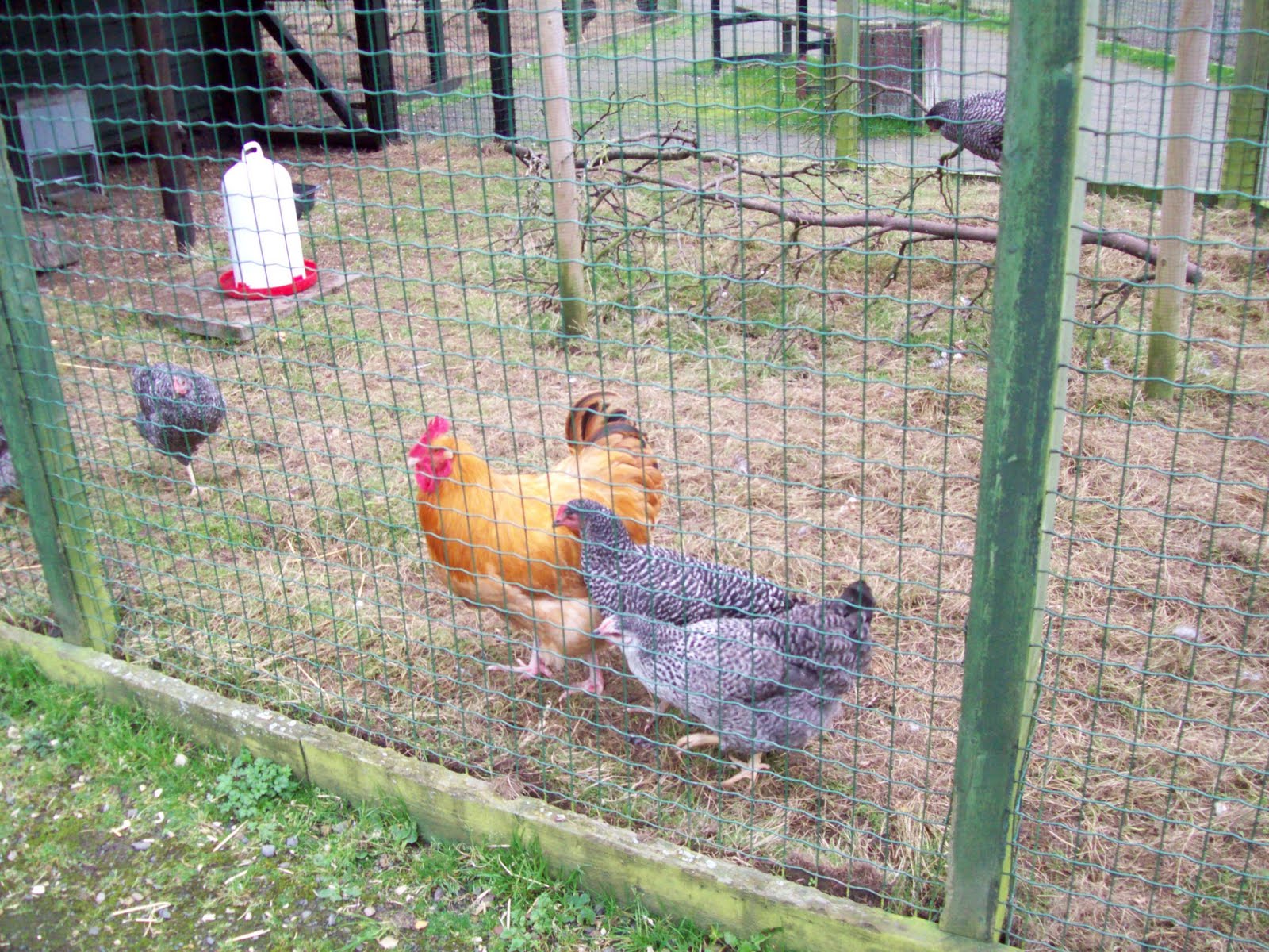 Talk From The Timber: October 2011