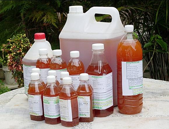 CARA MEMBUAT ECO - ENZYME - FSCS SMKSAB