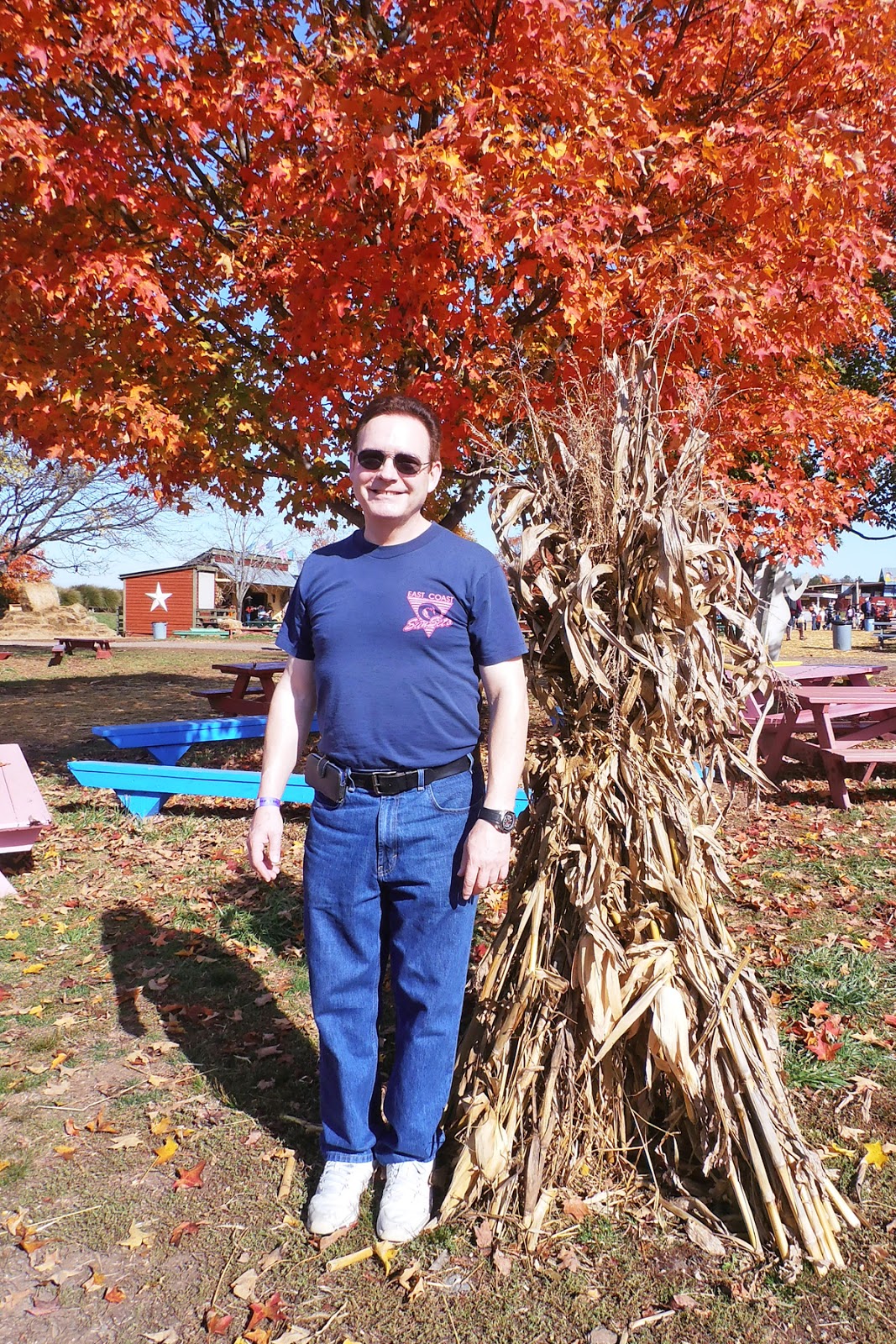 Picturesque Views: Cox Farms 2012