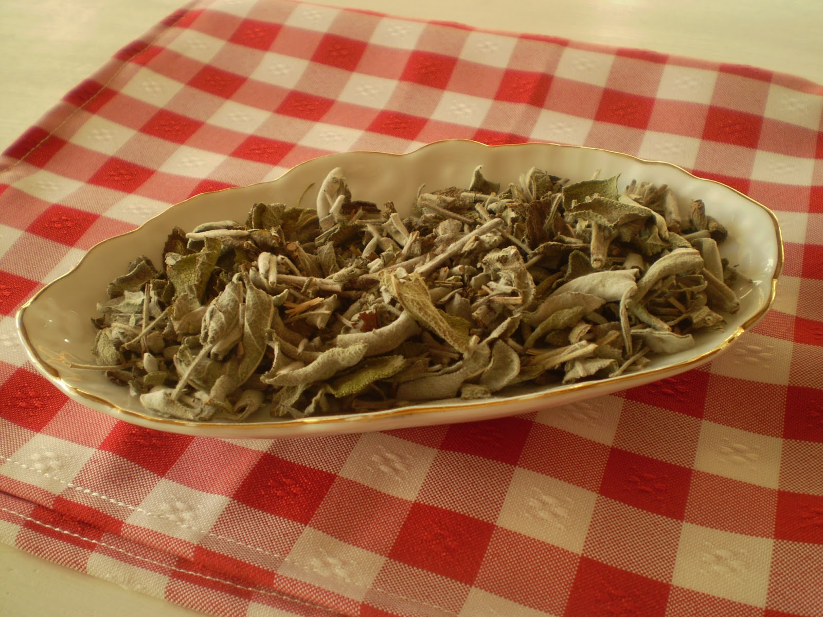 Erva Príncipe: Salva