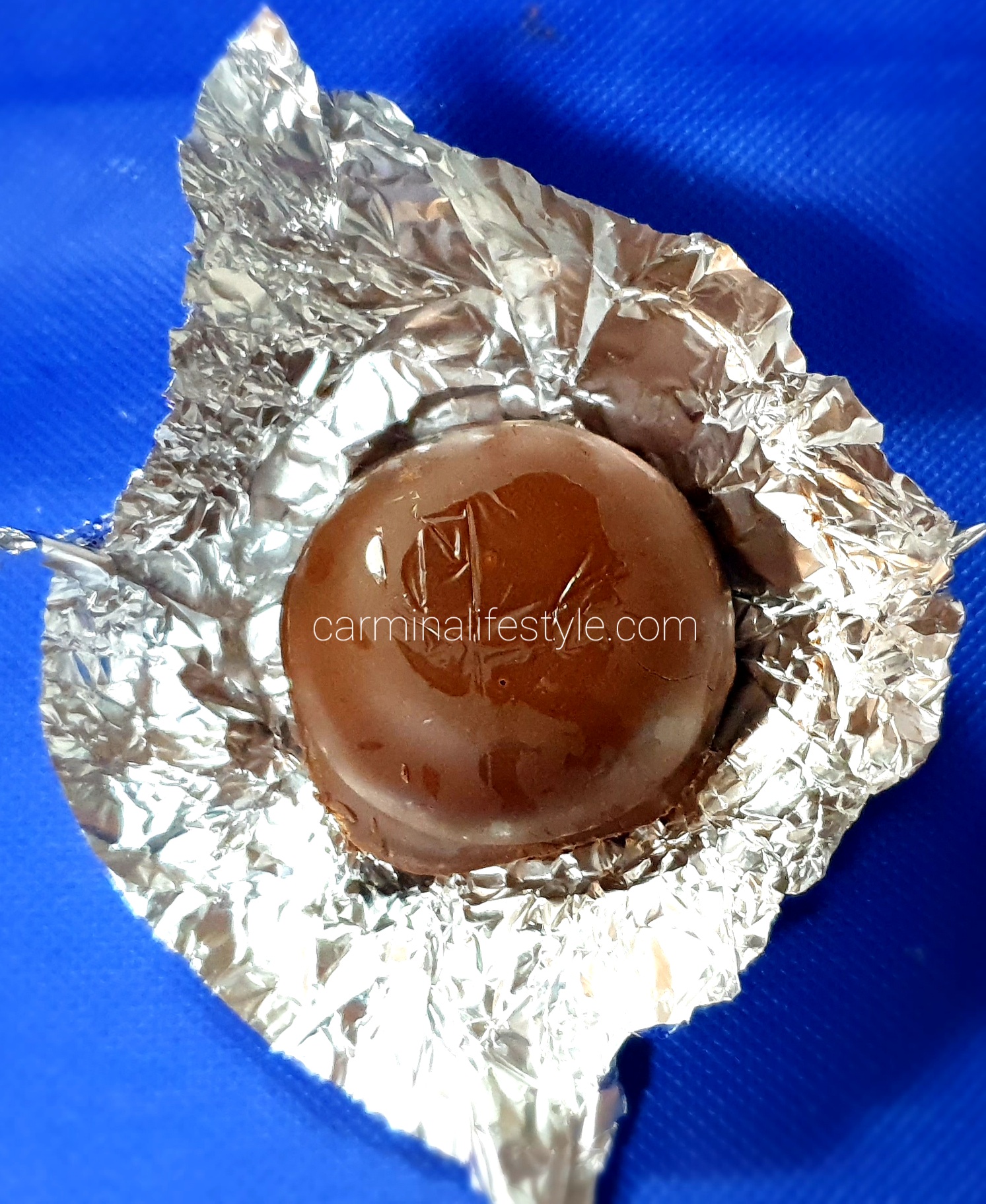 Fibisco Choco Mallows is my Filipino Version of Smores