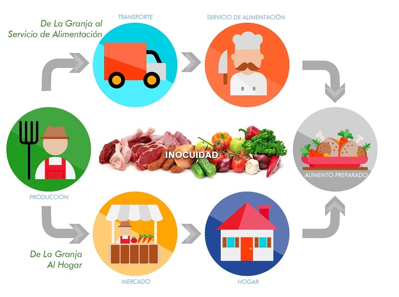 La importancia de la inocuidad en la salud