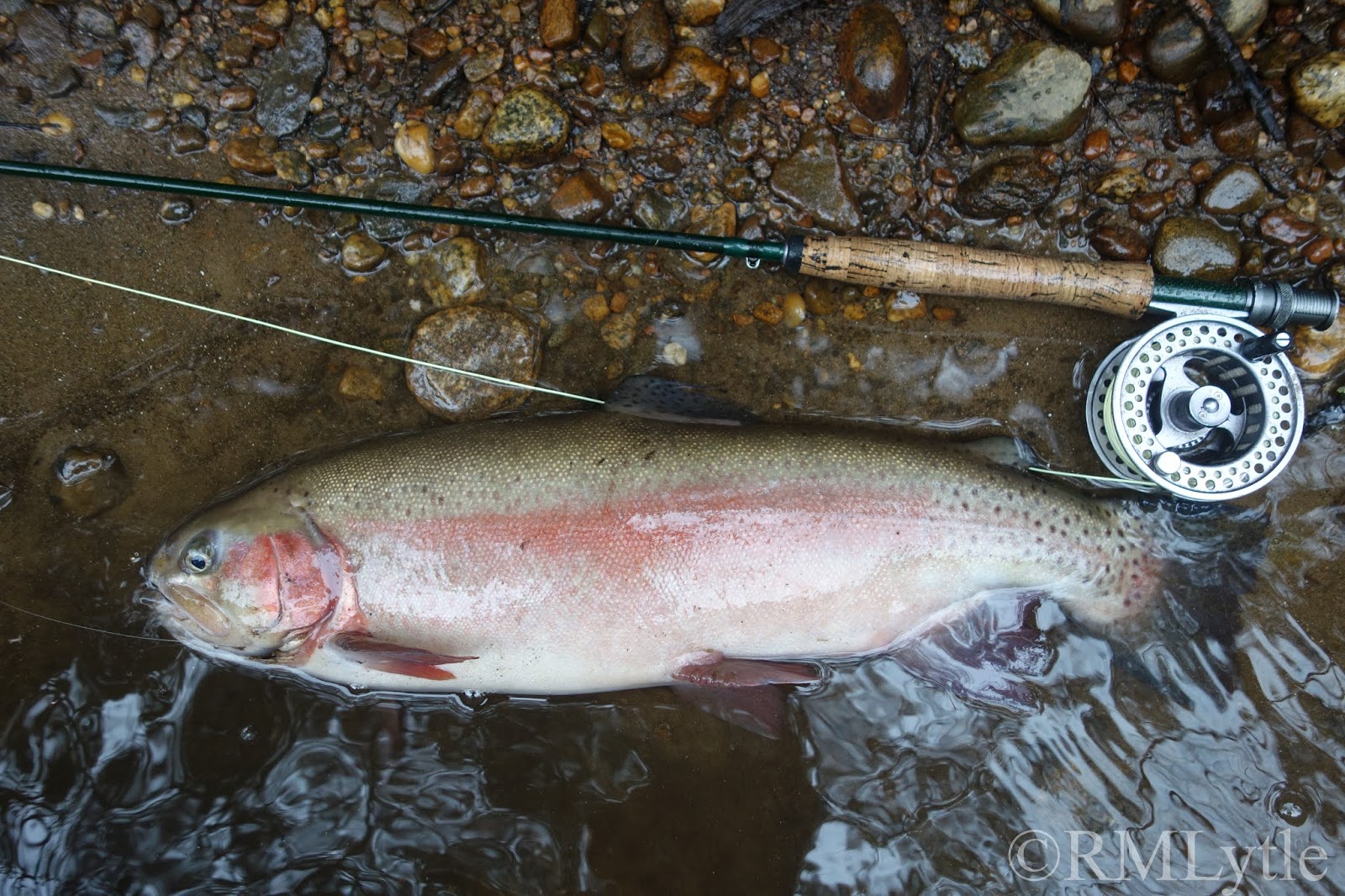 Connecticut Fly Angler: Some Entirely Synthetic Fish
