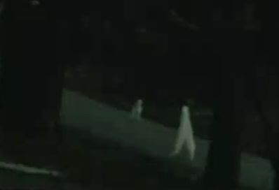 Click for video - Strange Alien Stick-like creatures caught on security ...