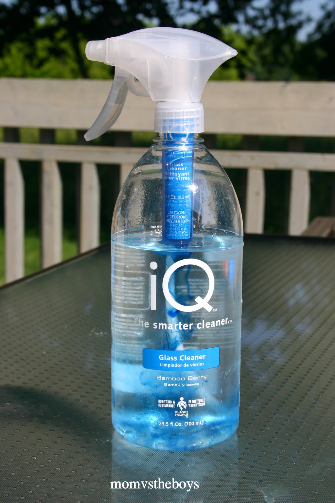 iQ- The Smarter Cleaner – Mom vs the Boys