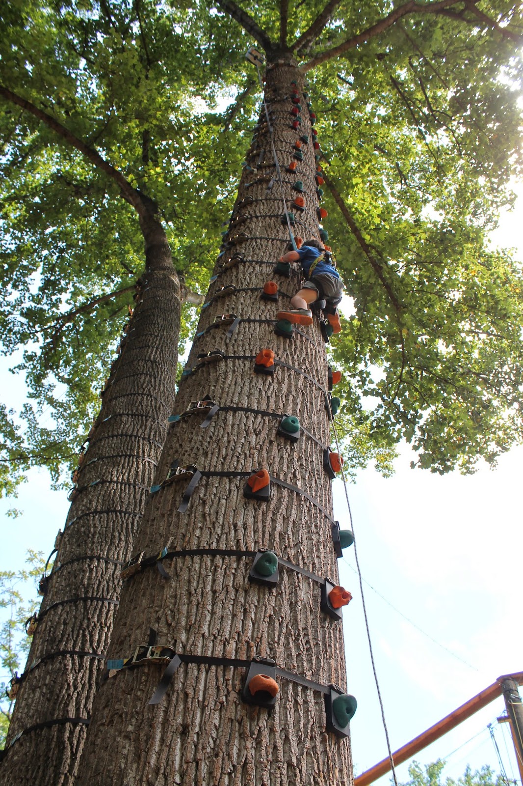 Family Fun in MD and Beyond: The Adventure Park at Sandy Spring, MD