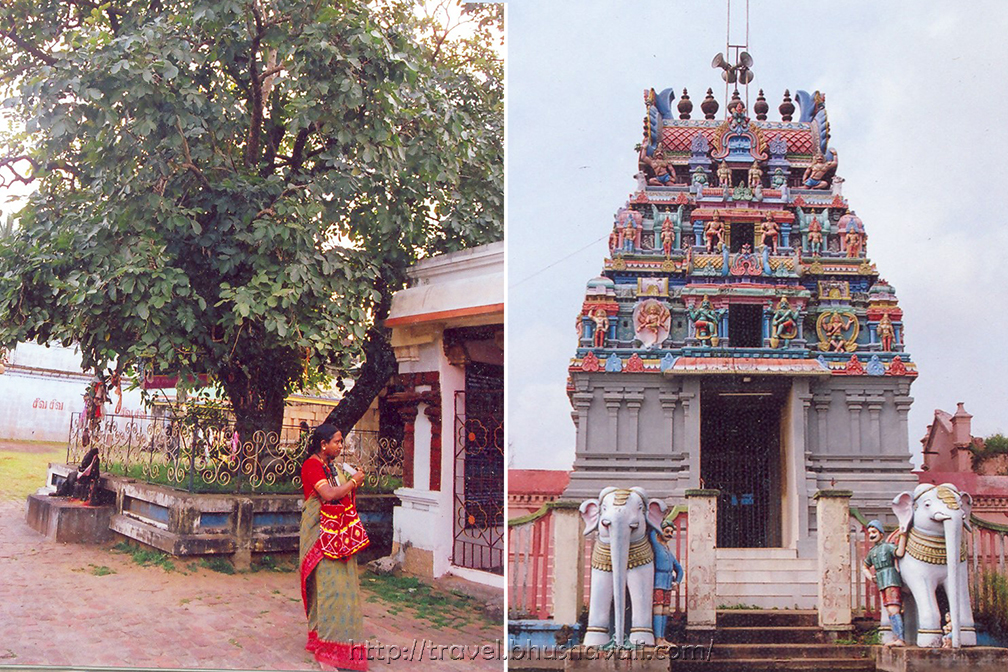 Thiruvarur Thiyagarajar Temple (Tamil Nadu) | My Travelogue - Indian ...