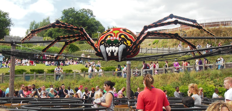 Nottingham Science Blog: Interview : Dr Sara Goodacre on Spiders