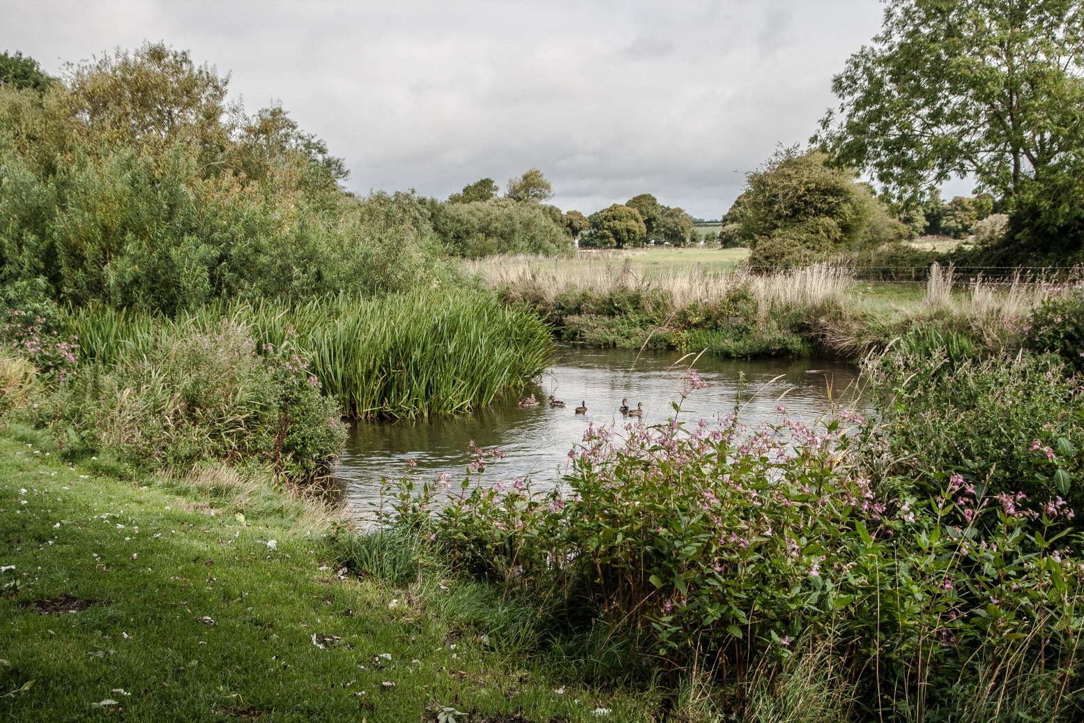 Walking Dorset's gridsquares: Frome Valley Trail - Part 3 - Dorchester ...