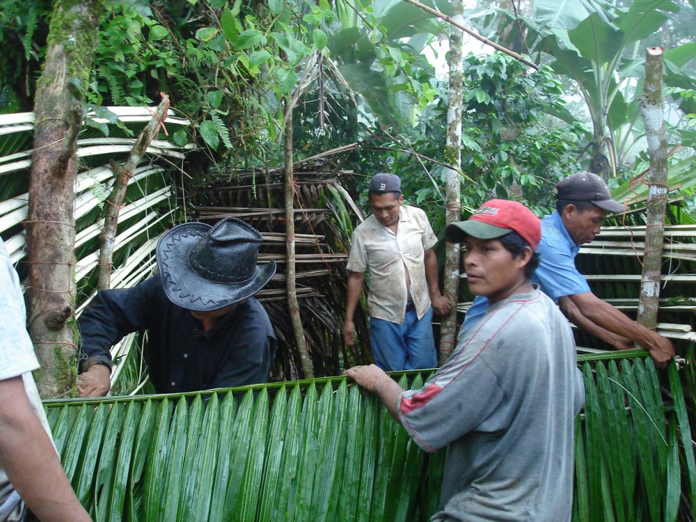 Adventuring Susan: Ti blite Ngabere chi. (I speak a little Ngabere)