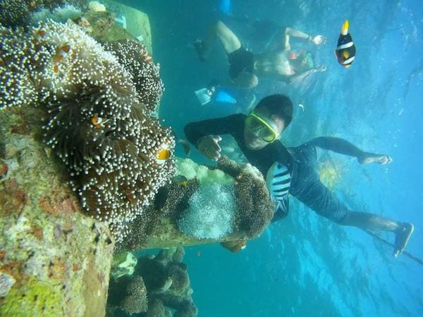 Pulau Pahawang Lampung, Sejuta Pesona Keindahan Pantai Dan Bawah Laut ~ Madjongke