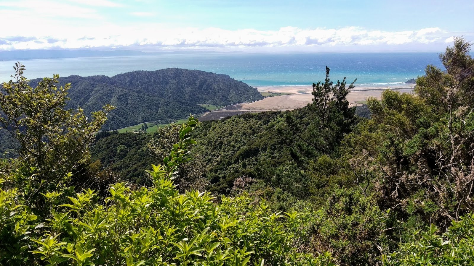 Tramping in the New Zealand backcountry: NZ Bush Adventures: Tramping ...