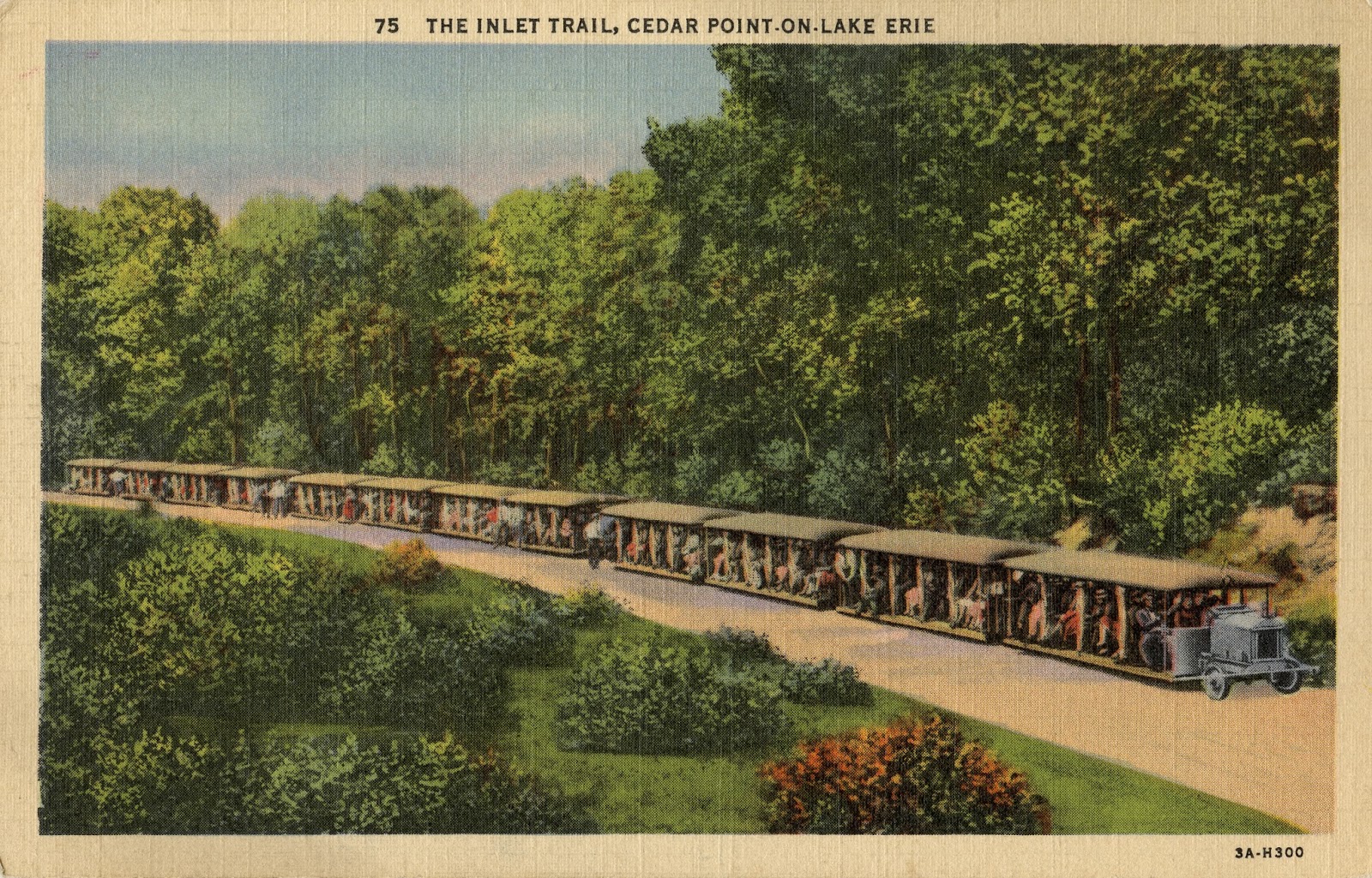 A Change In Scenery: Cedar Point postcards