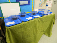 Science Gal: Building Models in your classroom....