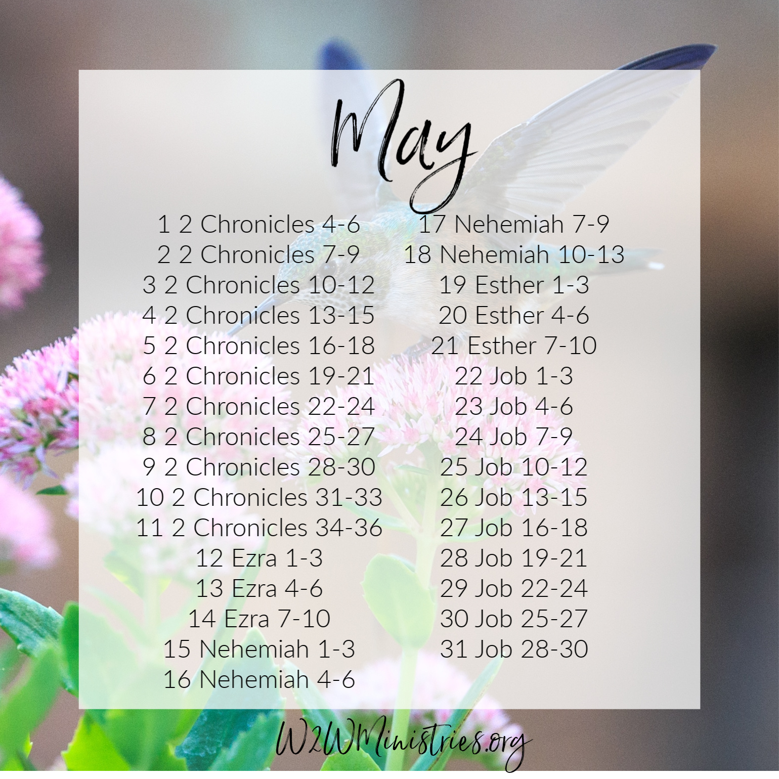 Woman to Woman: One Year Bible Reading Plan