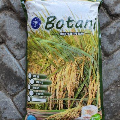 Benih Padi IPB3S ASLI BERKUALITAS (MUTU TERJAMIN) - Tani Makmur Nusantara