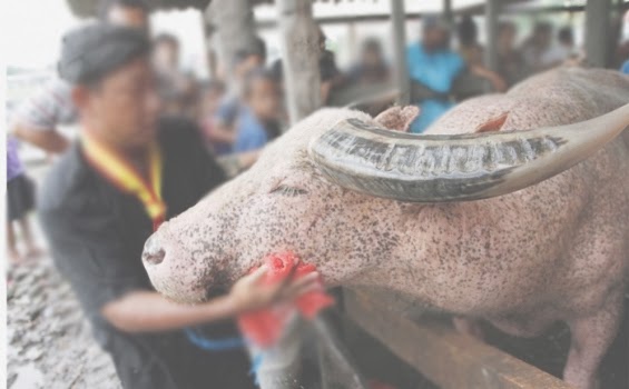 Atau juga benda pusaka yang berbentuk bendera yang dinamakan dengan ...