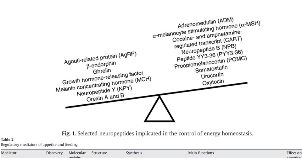 Evidence Sharing: Cardiac cachexia: A systematic overview
