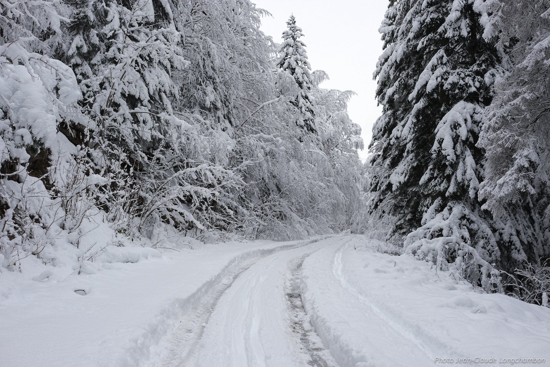 Impressions nature: Première neige autorisée