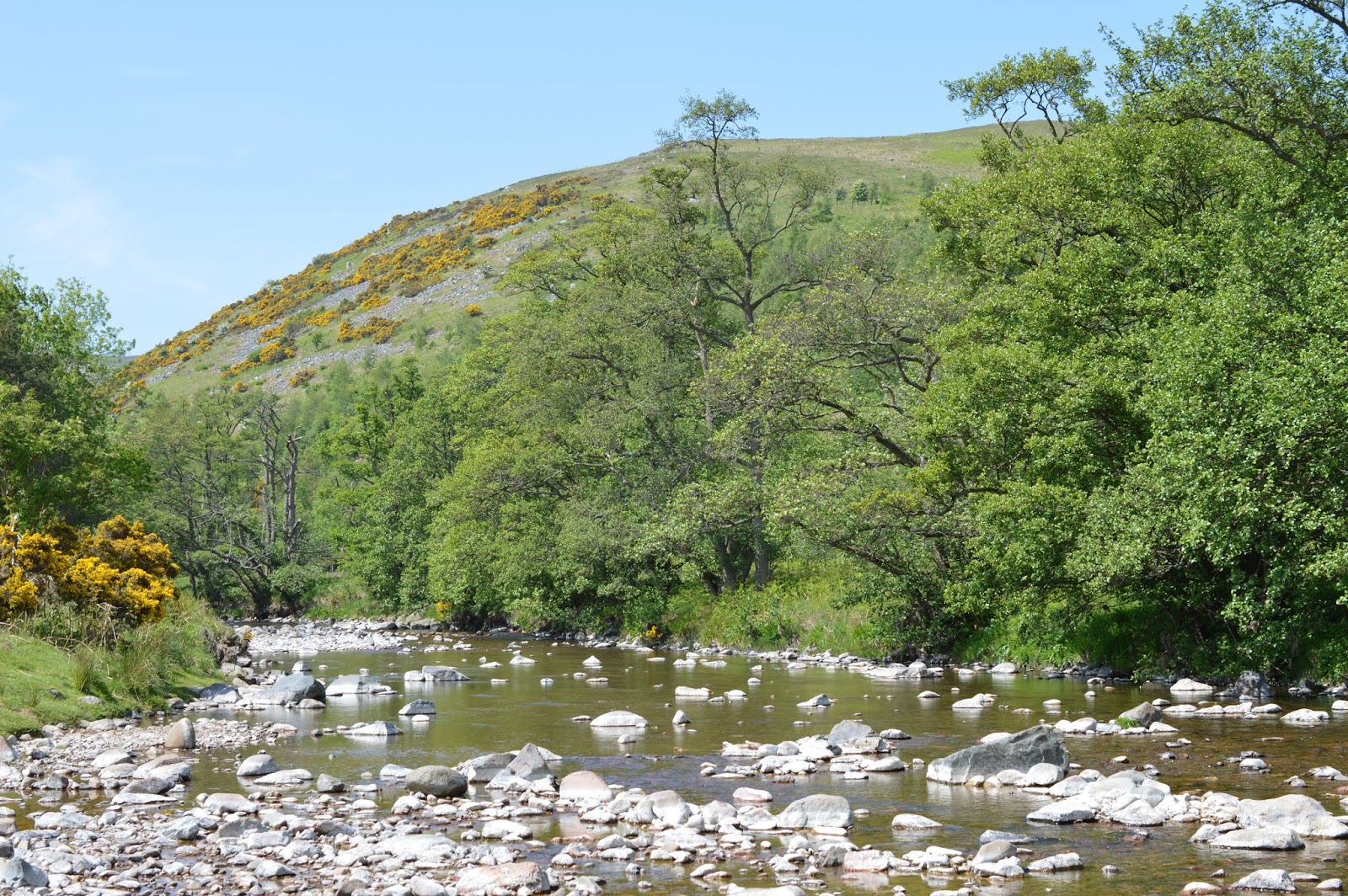 A Picnic at Ingram Valley, Northumberland National Park | North East ...