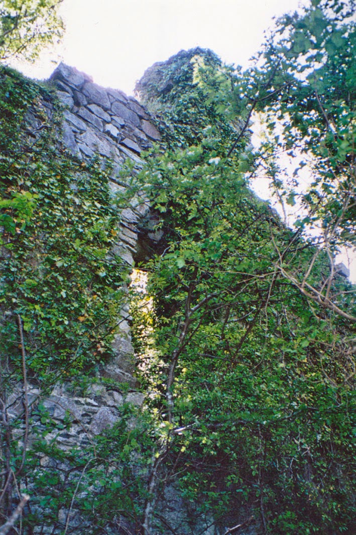 Marc Calhoun: Inchgalbraith - Loch Lomond