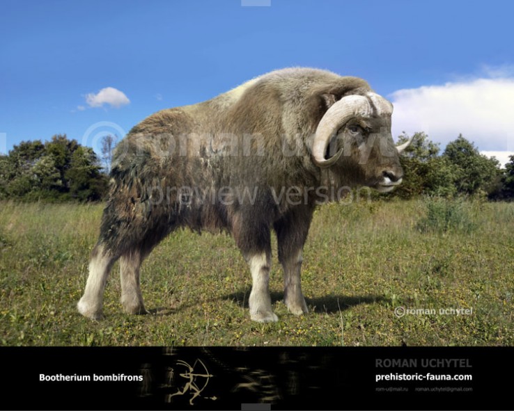 Escenarios prehistóricos: Bootherium