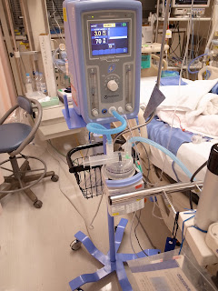 リサのおは梨: DPAPをつけた