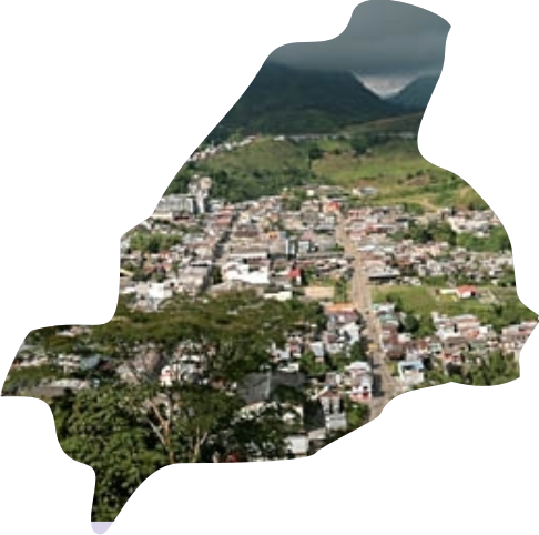 DESTINO TOLIMA: El Tolima en detalle