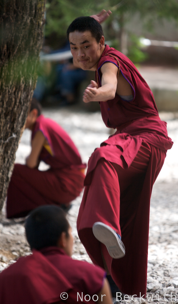 Noor Beckwith Photography: ARGUING MONKS OF SERA MONASTERY SERIES