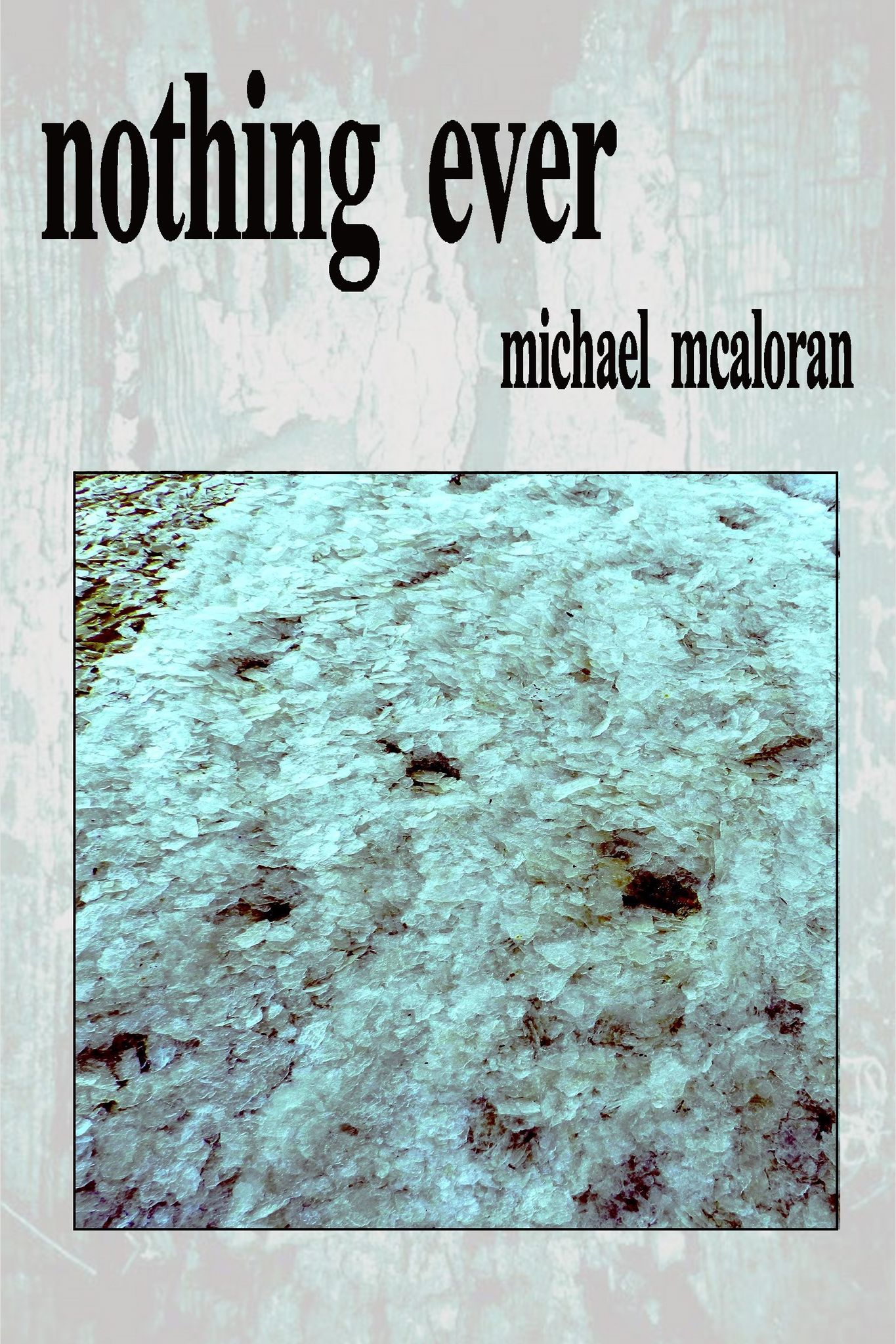 echo chamber: 'Nothing Ever', reviewed by Zuzana Susu