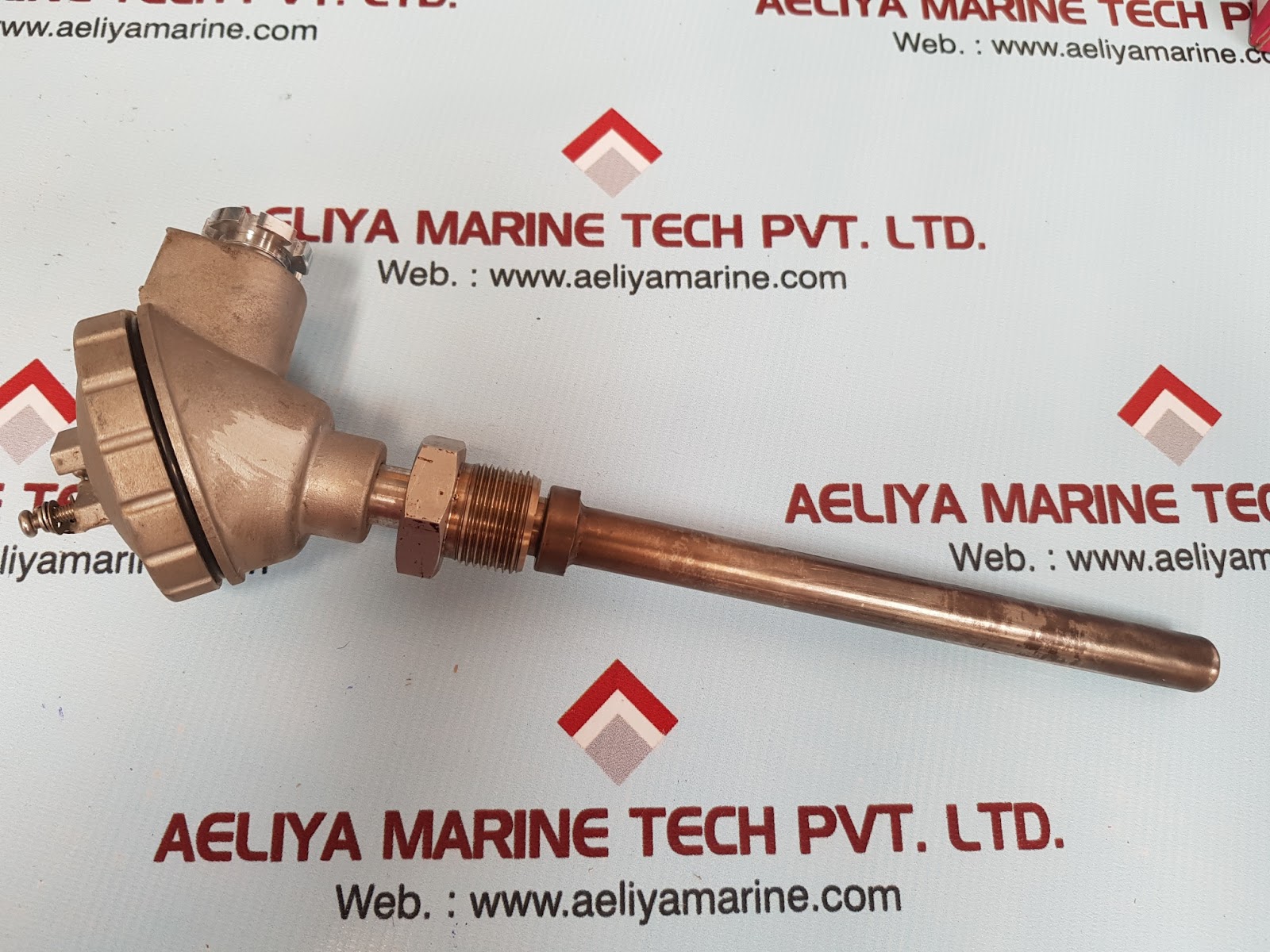 PASCAL PTM-SD RESISTANCE BULB PT-100 - Aeliya Marine