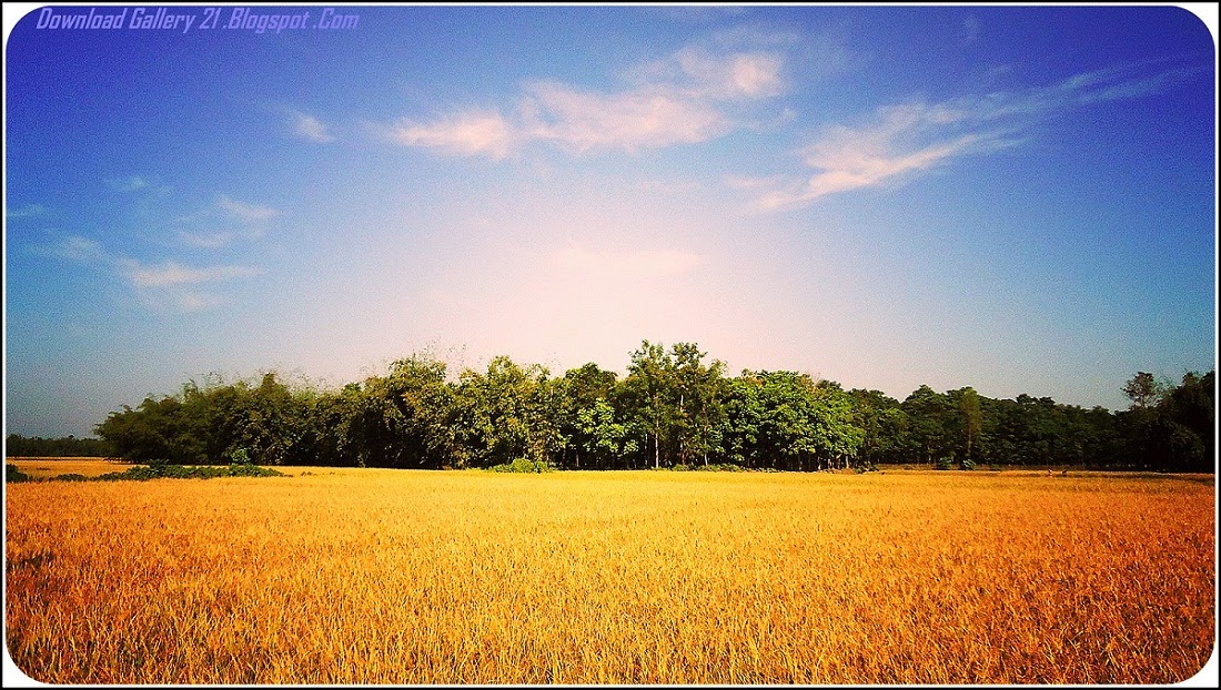 Gramin Natural wallpaper of Bangladesh village people Rongin weather Images