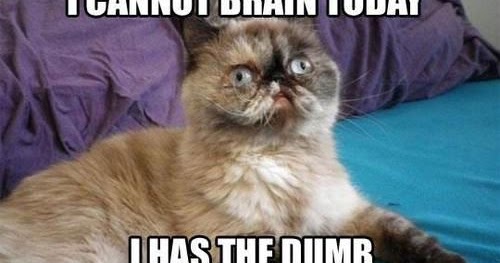 Grumpy Cat: I Has The Dumb