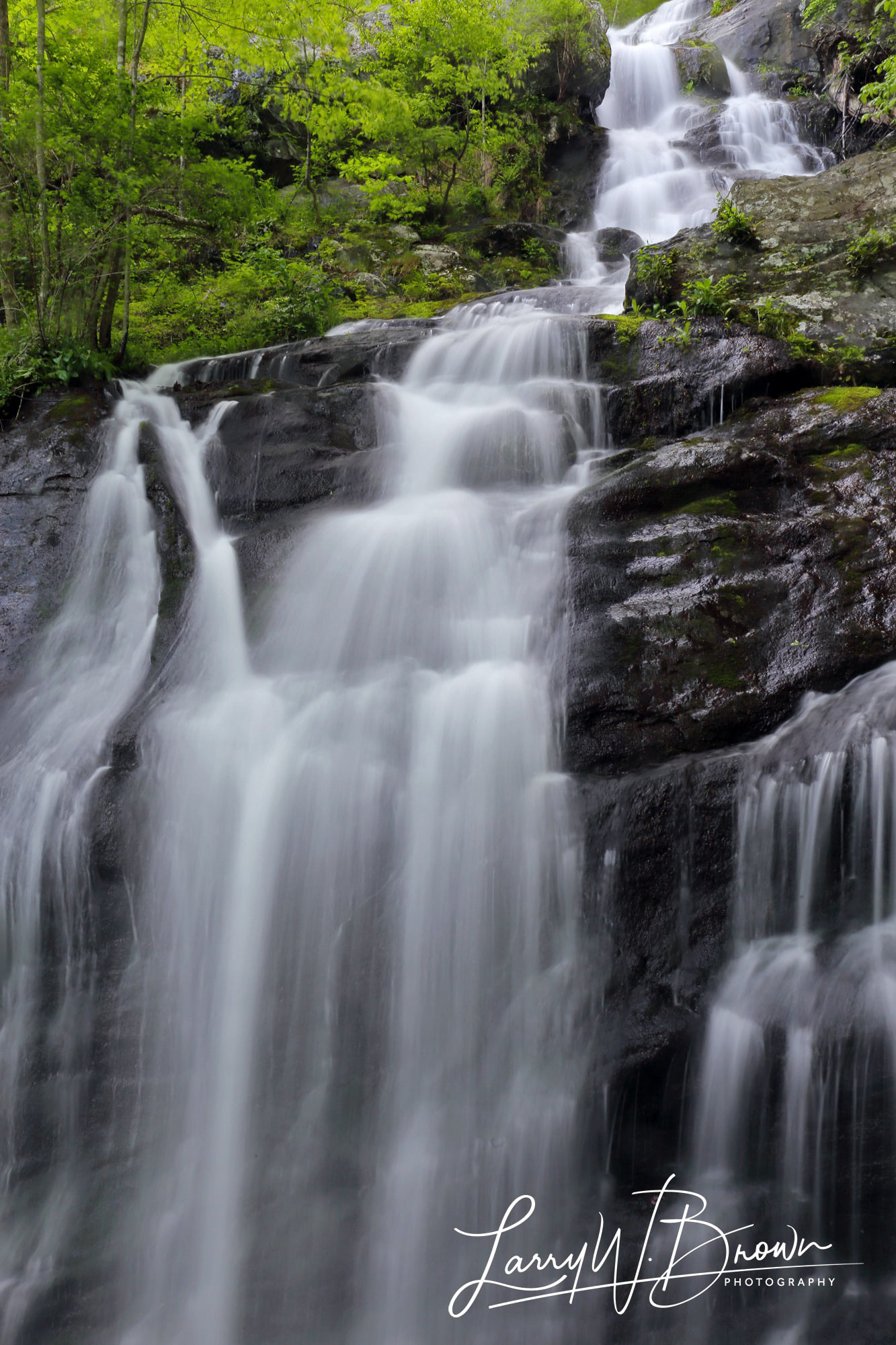 Shenandoah National Park Waterfalls Guide: Dry Run Falls
