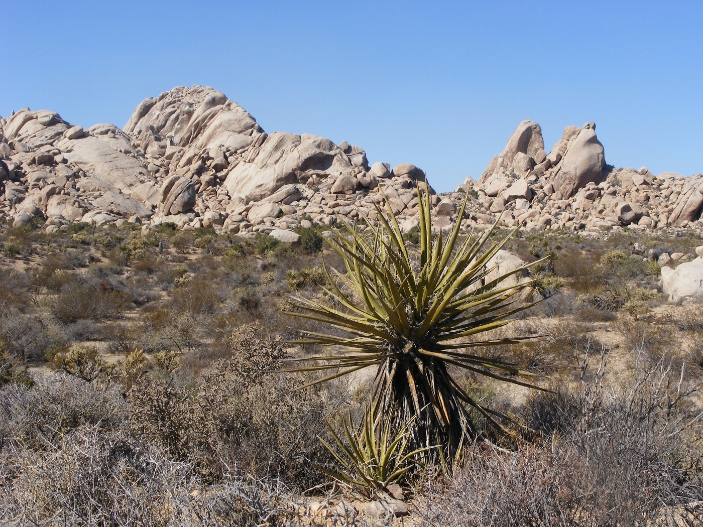 Quilting & Learning - What a Combo!: November 2016