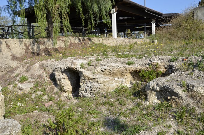 ΜΥΚΗΝΑΙΟΙ ΣΤΗΝ ΙΤΑΛΙΑ ΚΑΙ ΕΛΛΗΝΕΣ ΚΡΗΤΕΣ | "Τα πάντα ρει news"