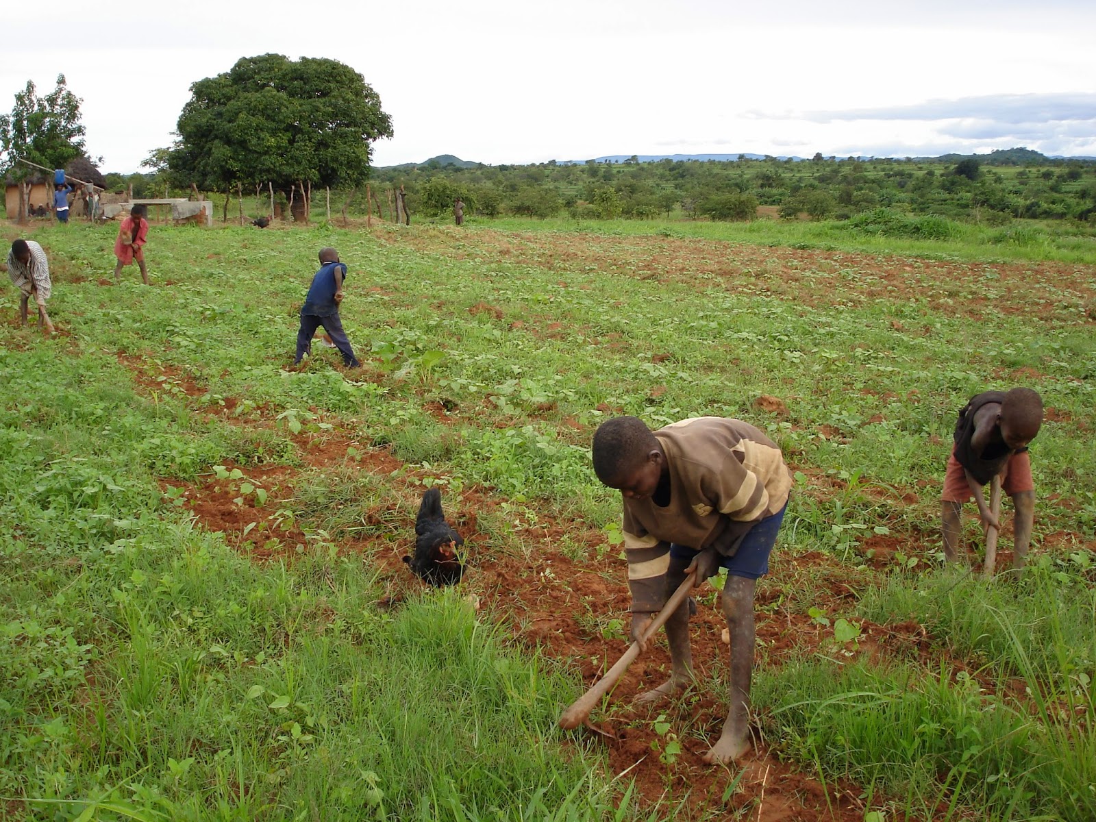 Retelling the tale of "two-speed economies" - inclusive growth imperatives